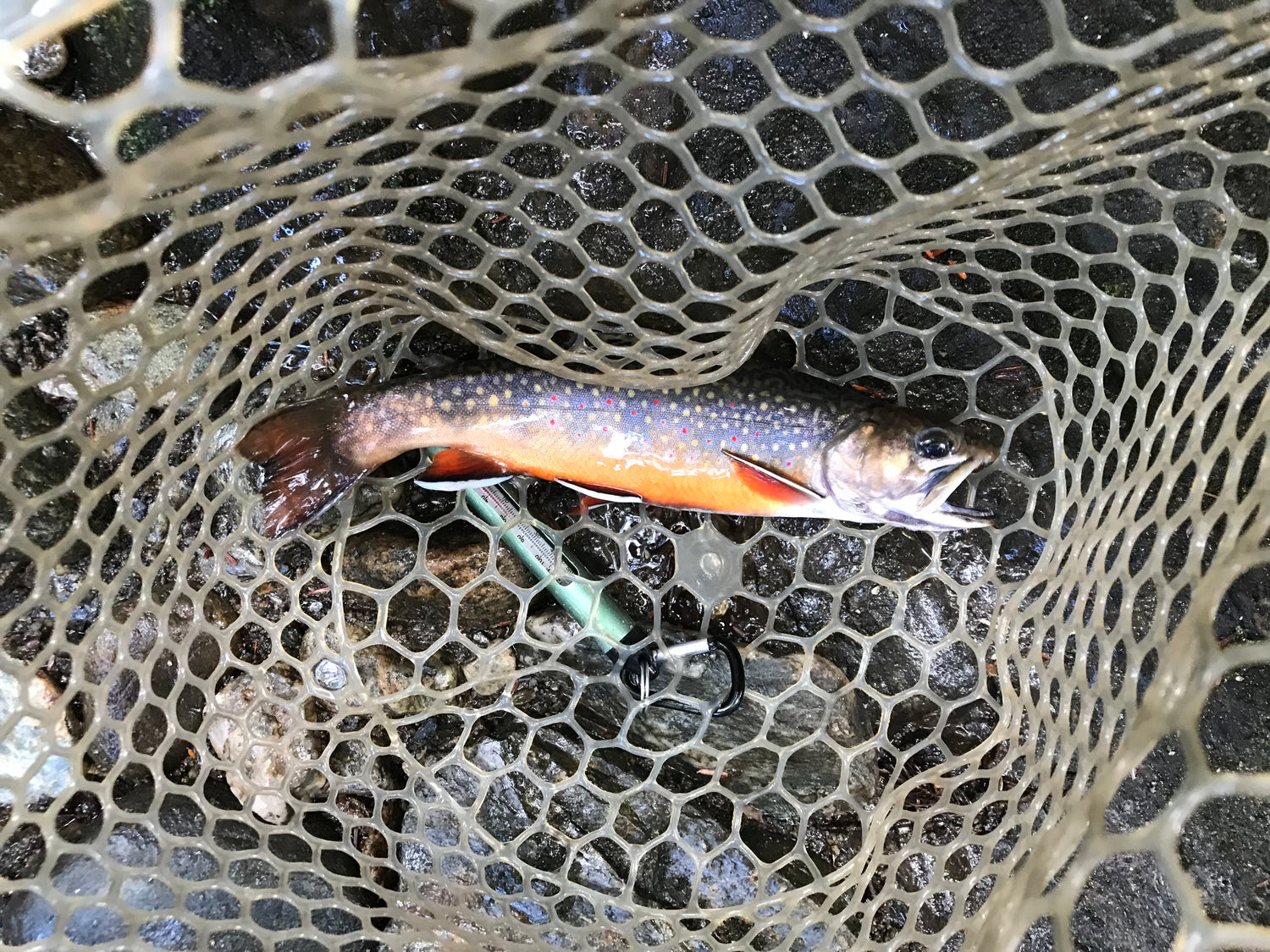 Stream and Brook Fly Fishing - Vermont Guides Since 1998 – streamandbrook