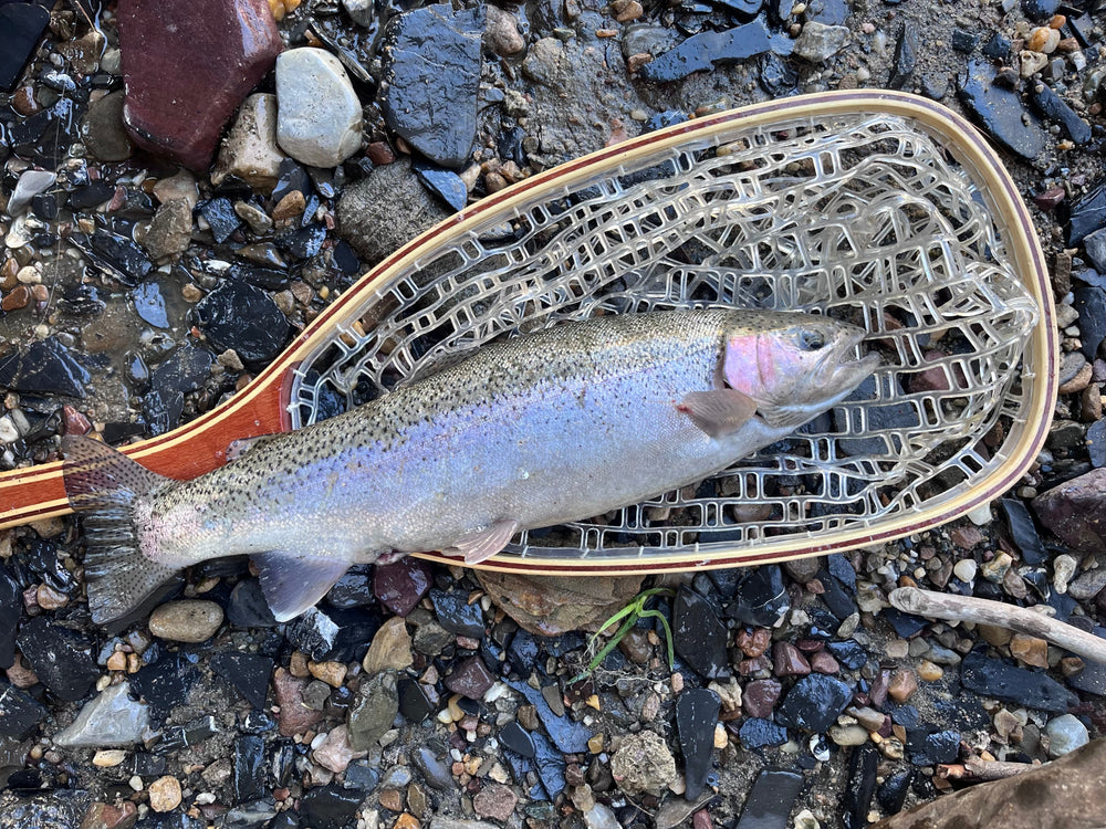 Stream and Brook Fly Fishing - Vermont Guides Since 1998 – streamandbrook