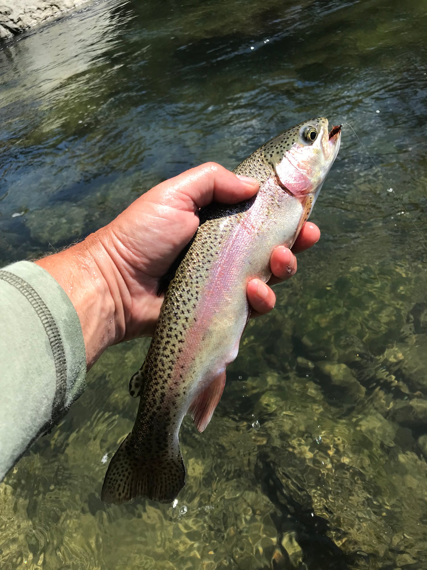 Stream and Brook Fly Fishing - Vermont Guides Since 1998 – streamandbrook